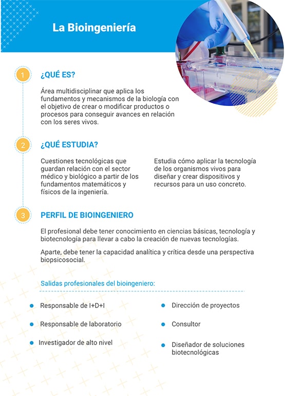 Diferencia entre Bioingeniería y Biotecnología | IQS Barcelona